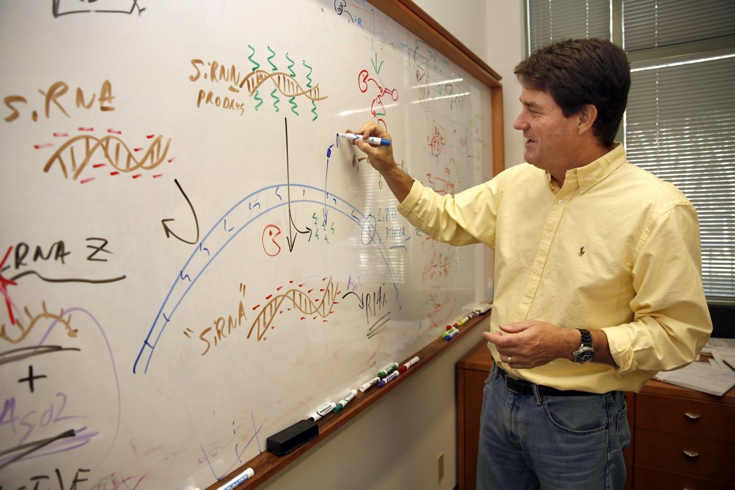 Steven F. Dowdy – Département de Chimie de l'ENS