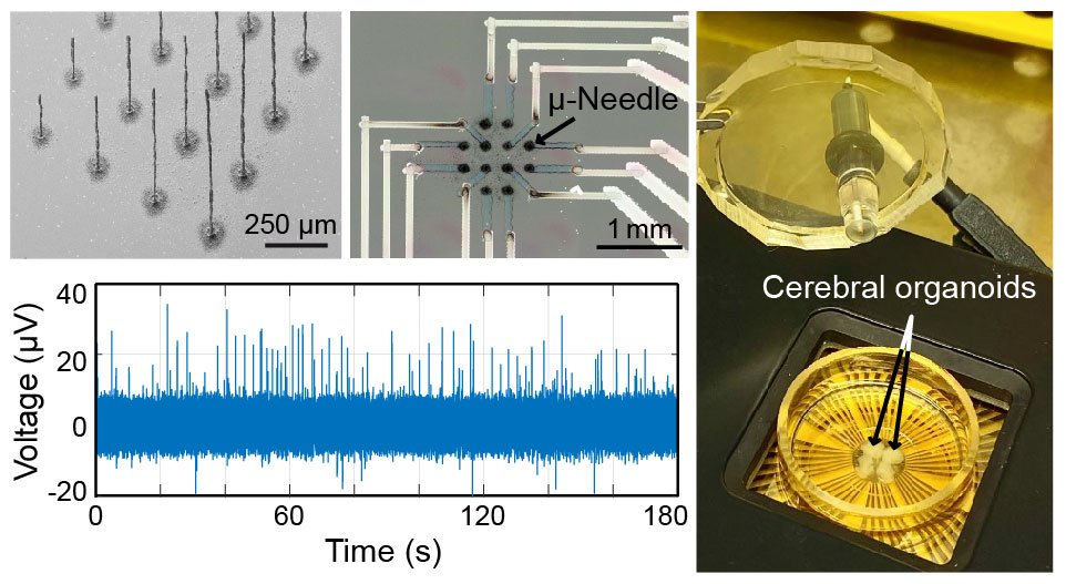 Aerosol Jet-Printed High-Aspect Ratio Micro-Needle Electrode Arrays ...